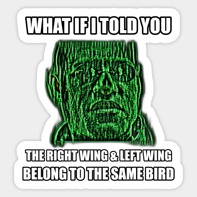 Matrix Meme Left Wing Right Wing Same Bird - Meme - Sticker | TeePublic