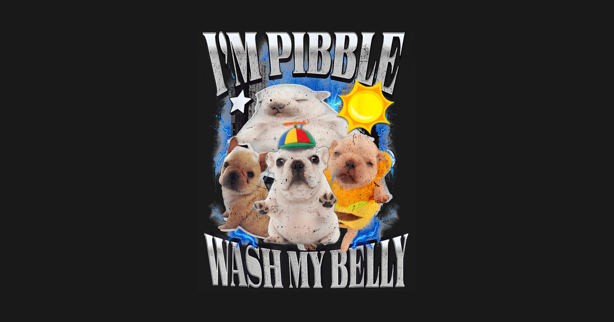 Silly Meme Pibble Meme Wash My Belly Clean My Belly Meme - Silly Meme ...