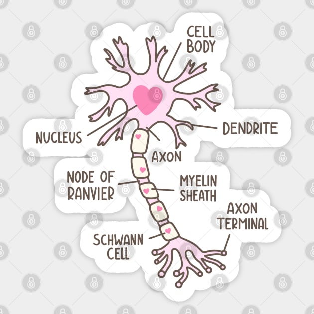 neuron cartoon labeled