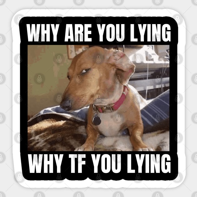 Why Are You Lying Funny Dog Meme - Funny Saying - Sticker | TeePublic