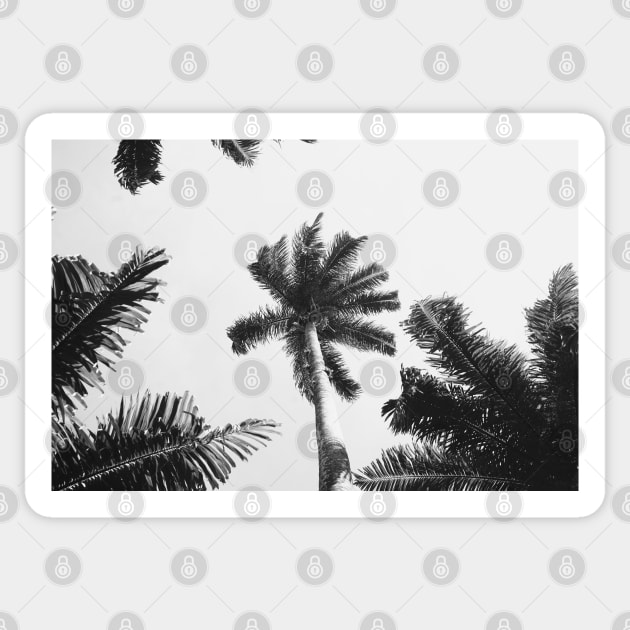 Palm Trees - Foliage - Sticker | TeePublic