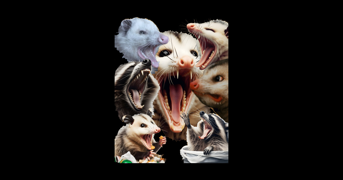 Possums and raccoons - Possum - Posters and Art Prints | TeePublic