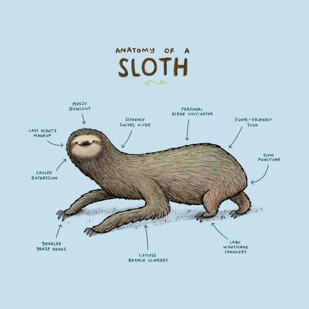 Anatomy of a Sloth - Sloth - Long Sleeve T-Shirt | TeePublic