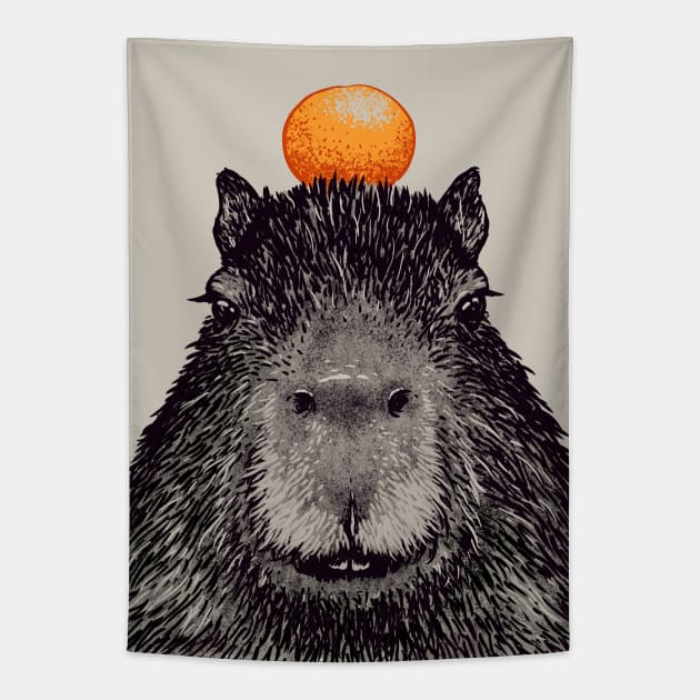 Capybara Orange | Capy Yuzu | Capybara with Orange on Head | His Name ...