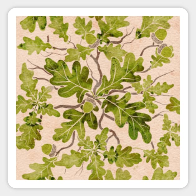 Summer Oak - Oak - Sticker | TeePublic