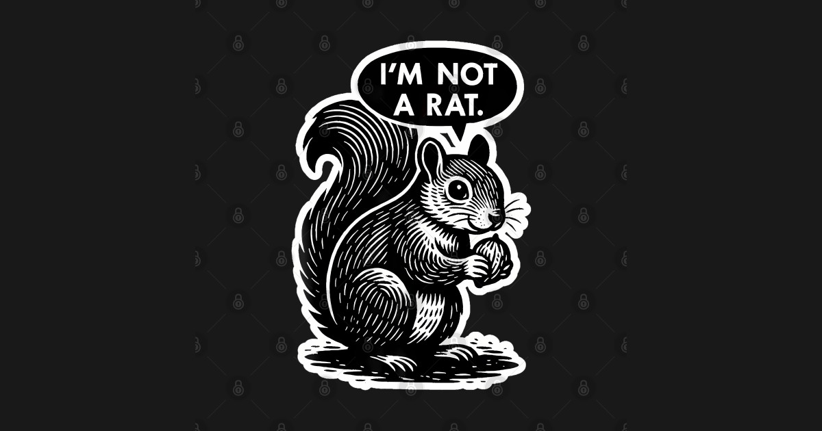 I'm Not A Rat Funny Squirrel Cute Animal Humor - Squirrel - T-Shirt ...