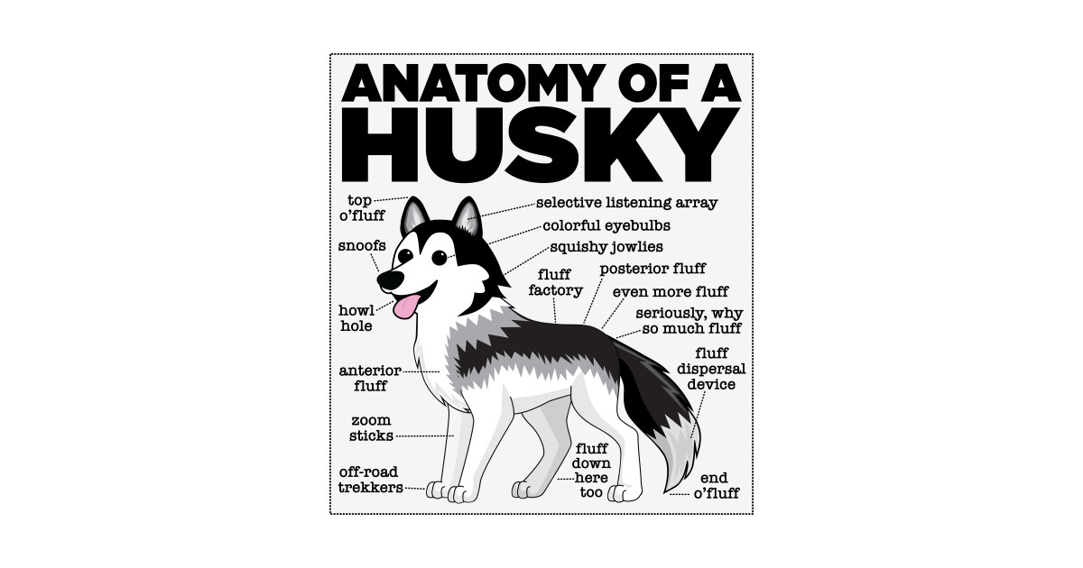 Anatomy of a Husky - Husky - T-Shirt | TeePublic