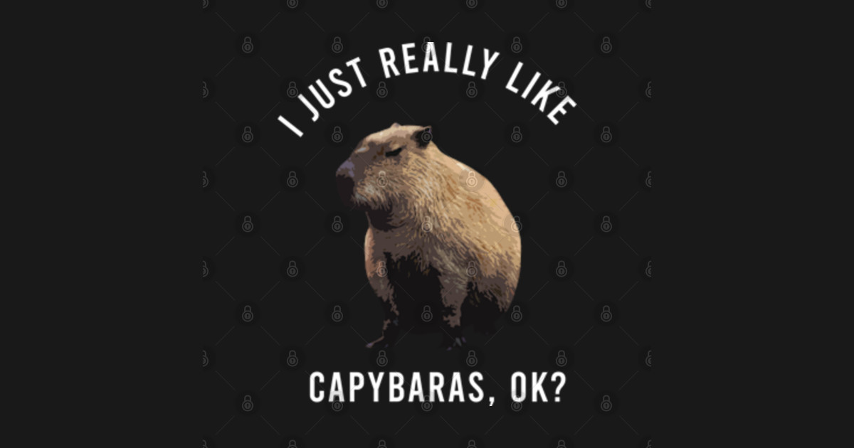 I-Just-Really-Like-Capybaras-OK - I Just Really Like Capybaras Ok - T ...
