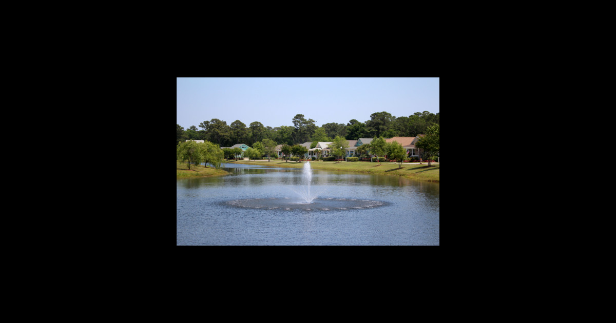 Beautiful Retention Pond - Retention Pond - Posters and Art Prints ...
