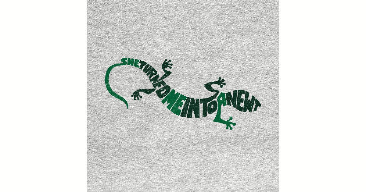 She turned me into a newt - Monty Python And The Holy Grail - T-Shirt ...