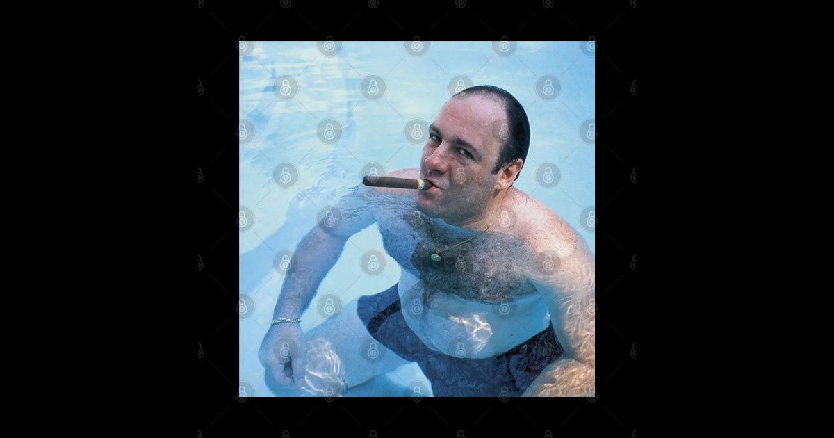 The Sopranos Tony Soprano Pool Cigar Tv Show Fan Sopranos Sticker Teepublic