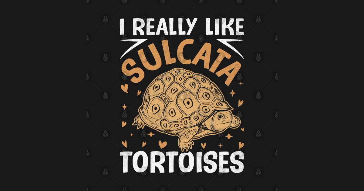 Turtle Pet Reptile Tortoise Species Really Like Sulcata Tortoises 2 ...