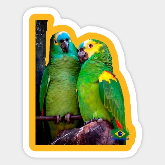Parrot couple, Brazilian birds - Parrot - Sticker | TeePublic