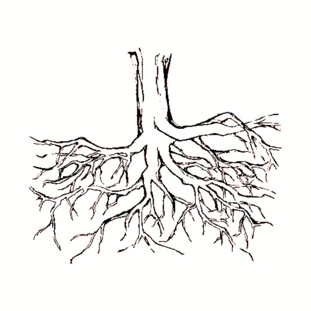 Nemeton - Teen Wolf - Baseball T-Shirt | TeePublic