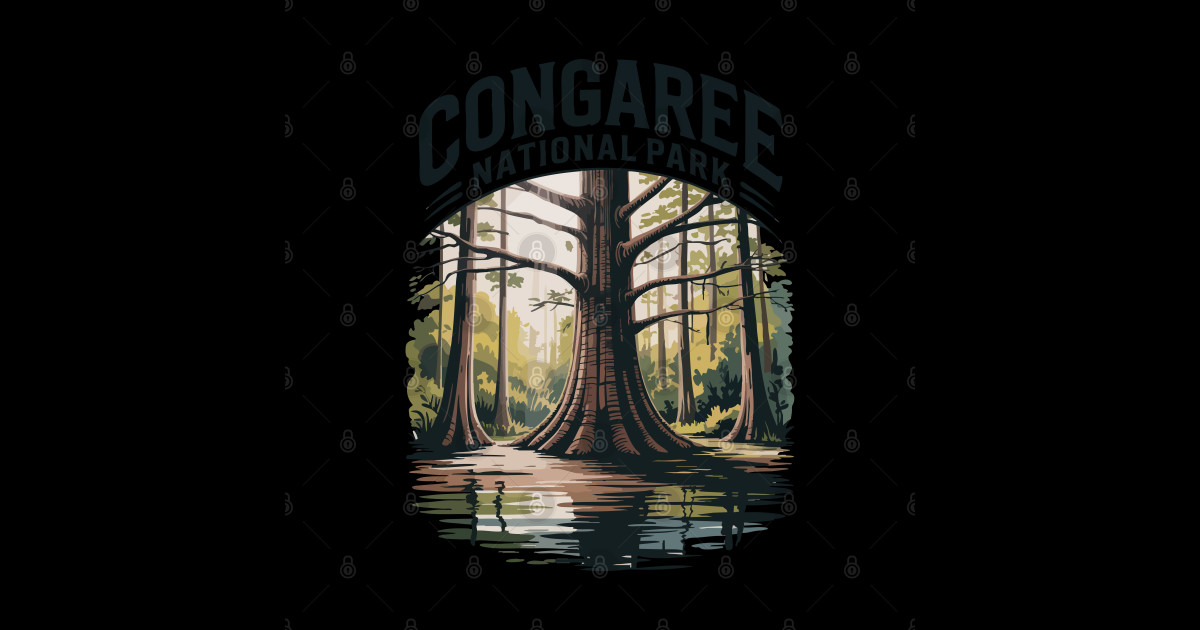 Congaree National Park South Carolina Wilderness Design - Congaree ...