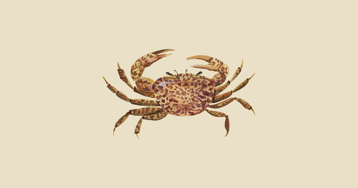 Swamp Crab - Crab - T-Shirt | TeePublic