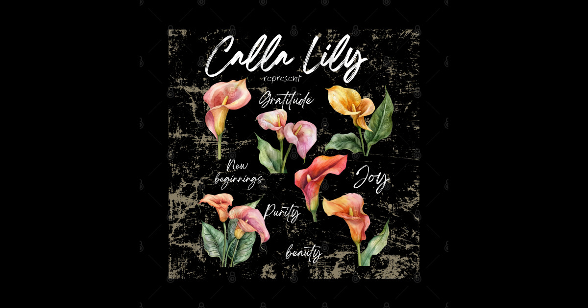 Calla Lily Flower represents and meaning of, beautiful shirt cool gift ...