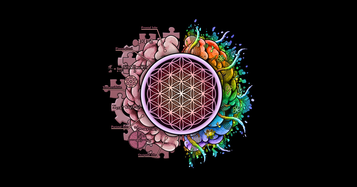 Blossoming Brain... - Flower Of Life - Sticker | TeePublic