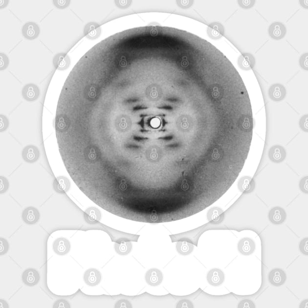 x ray diffraction dna