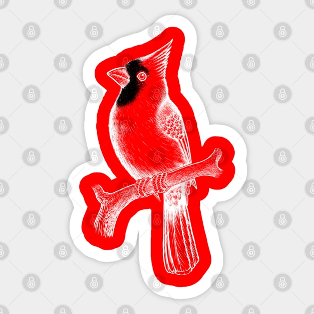 Red Cardinal bird - Red Cardinal Red Cardinal Lover Bird - Sticker ...