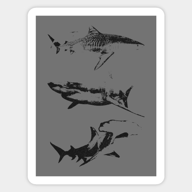 Sharks Grunge Aesthetic - Sharks - Sticker | TeePublic