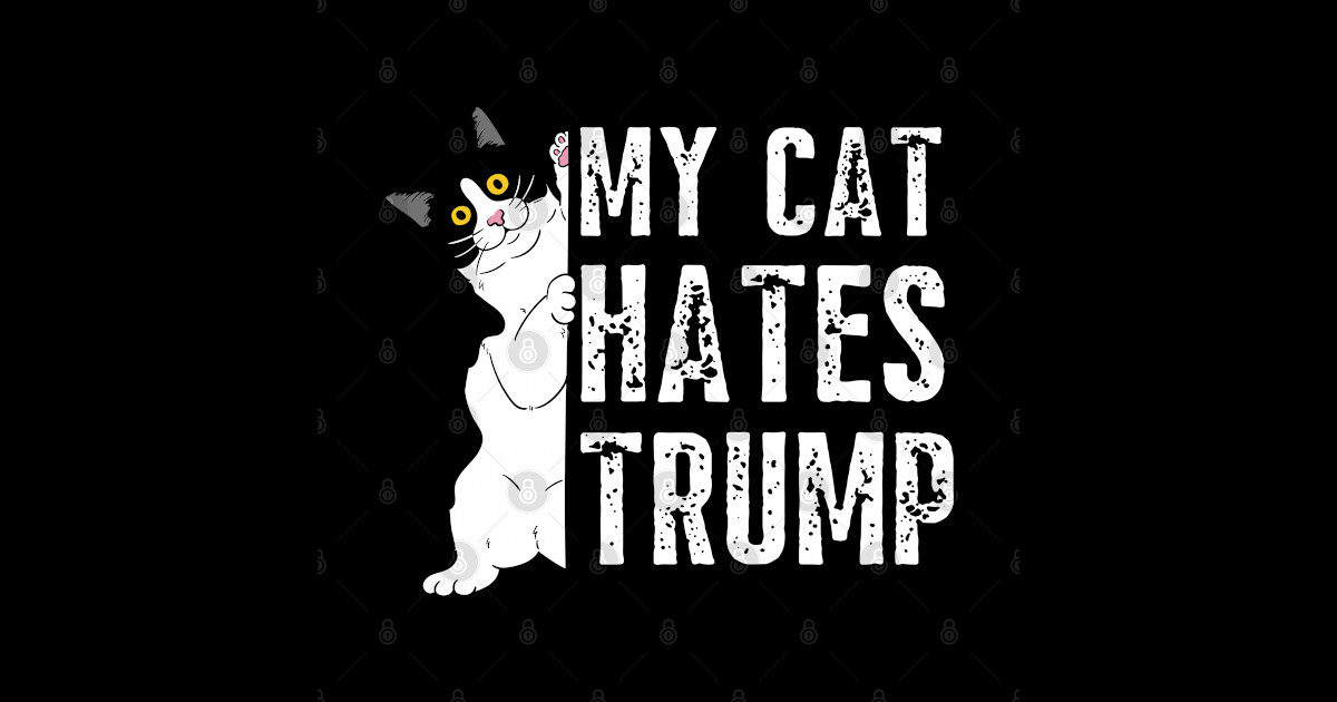 Cats Against Trump - Cats Against Trump - Sticker | TeePublic