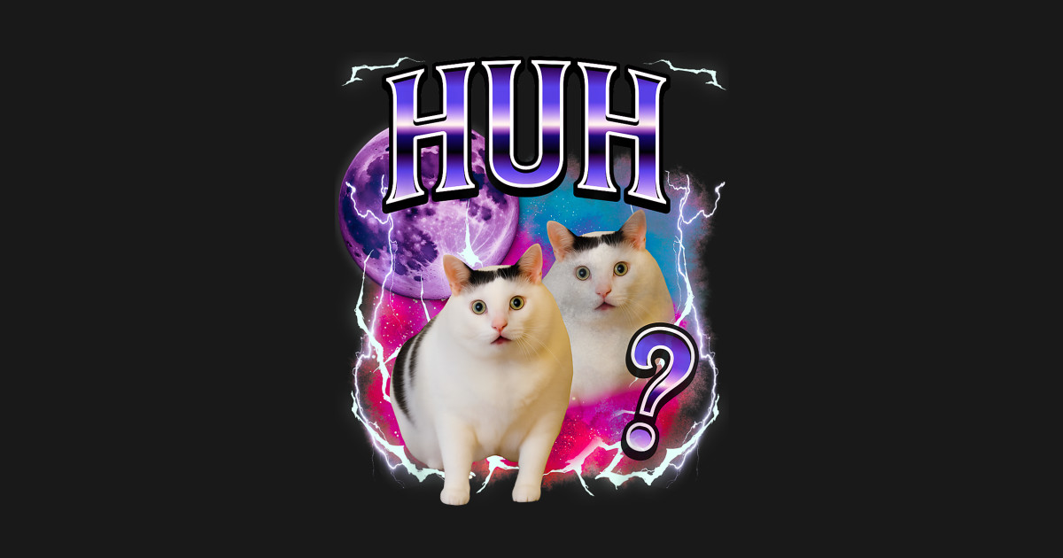Huh Cat Chonky Meme Funny - Huh Cat Chonky - T-Shirt | TeePublic