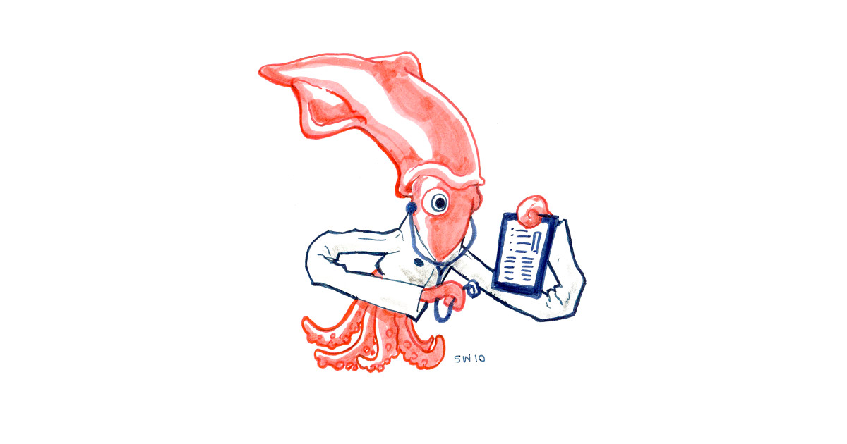 Squid doctor - Squid - T-Shirt | TeePublic