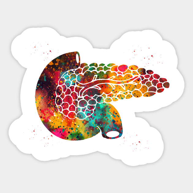 Pancreas - Pancreas - Sticker | TeePublic