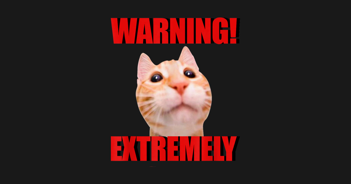 Warning Extremely Silly Cat & Funny Meme - Warning Extremely Silly Cat ...