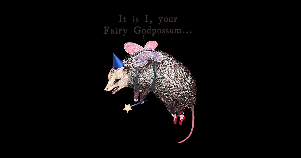 It Is I Your Fairy Godpossum beauty - It Is I Your Fairy God Possum ...