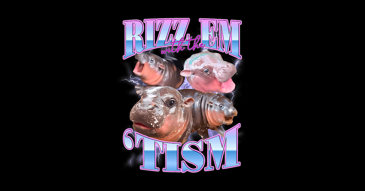 Rizz Em With The Tism Shirt Meme Moo Deng Gift For Women Men - Hippo ...