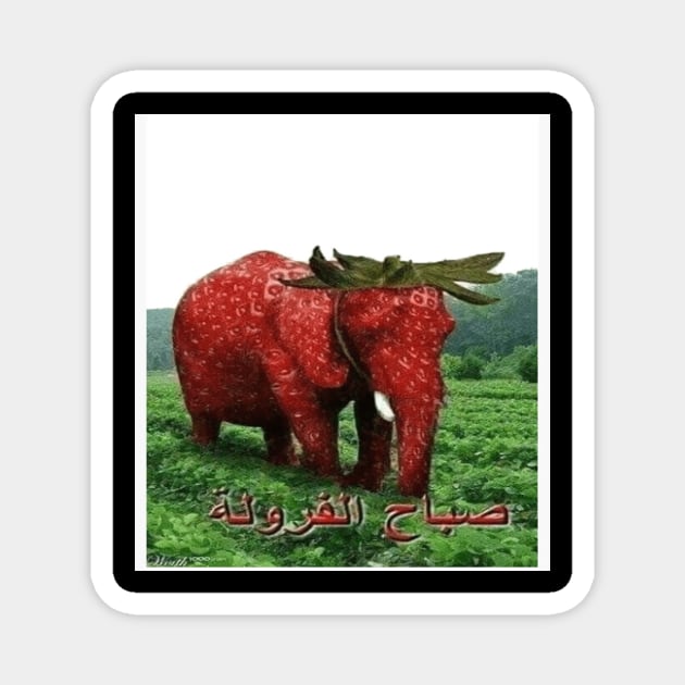 Arabic strawberry elephant meme aesthetic - Meme - Magnet | TeePublic