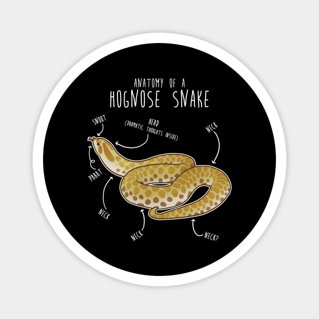 Lemon Hypo Ghost Hognose Snake Anatomy - Lemon Hypo Hognose - Magnet ...
