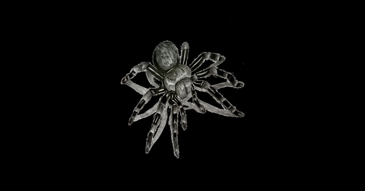 A 3D Spider - Spider - Posters and Art Prints | TeePublic