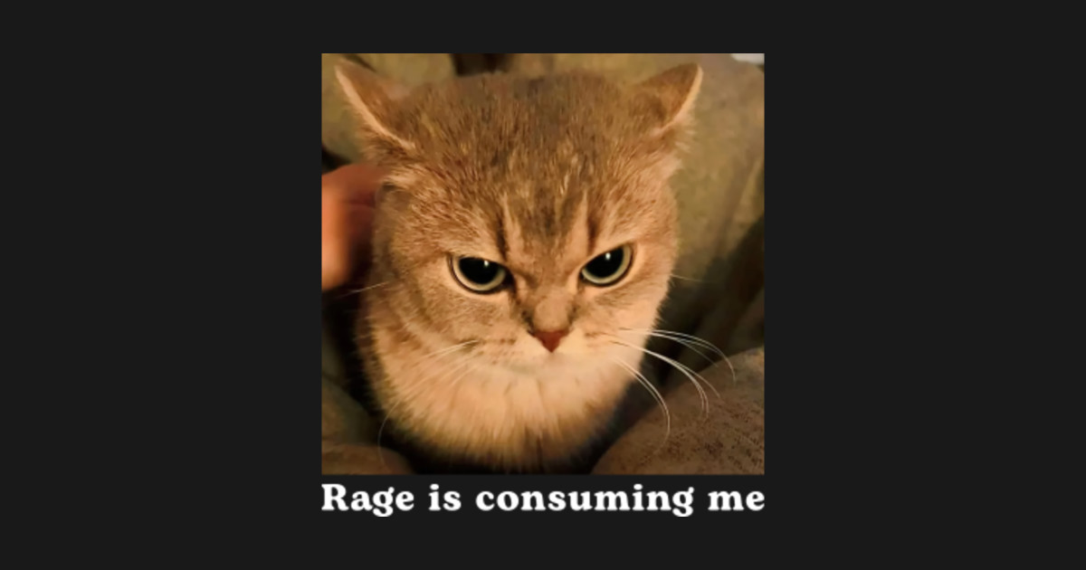 Rage is Consuming Me Cat - Rage Is Consuming Me - T-Shirt | TeePublic