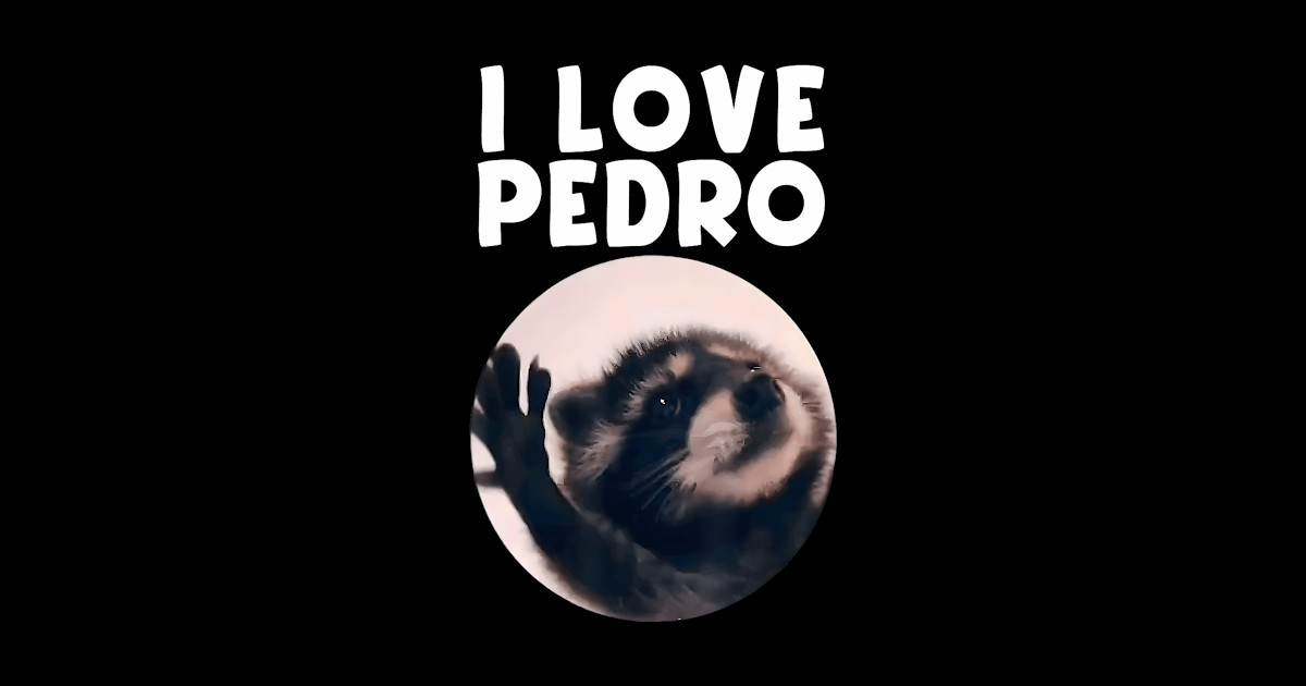 Funny I Love Pedro Dance Raccoon Meme Humorous Memes - Pedro Racoon ...