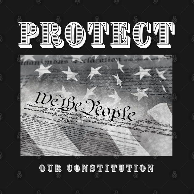 Protect Our Constitution - Constitution - T-Shirt | TeePublic