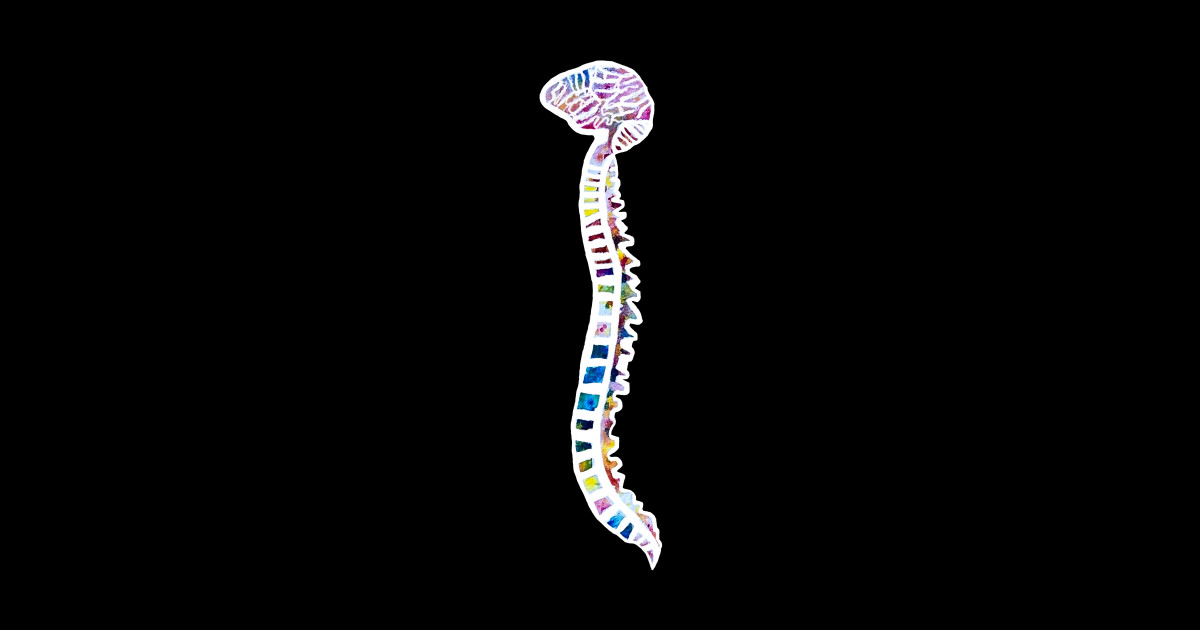 Funfetti Brain and Spine (White Pattern) - Confetti - Sticker | TeePublic