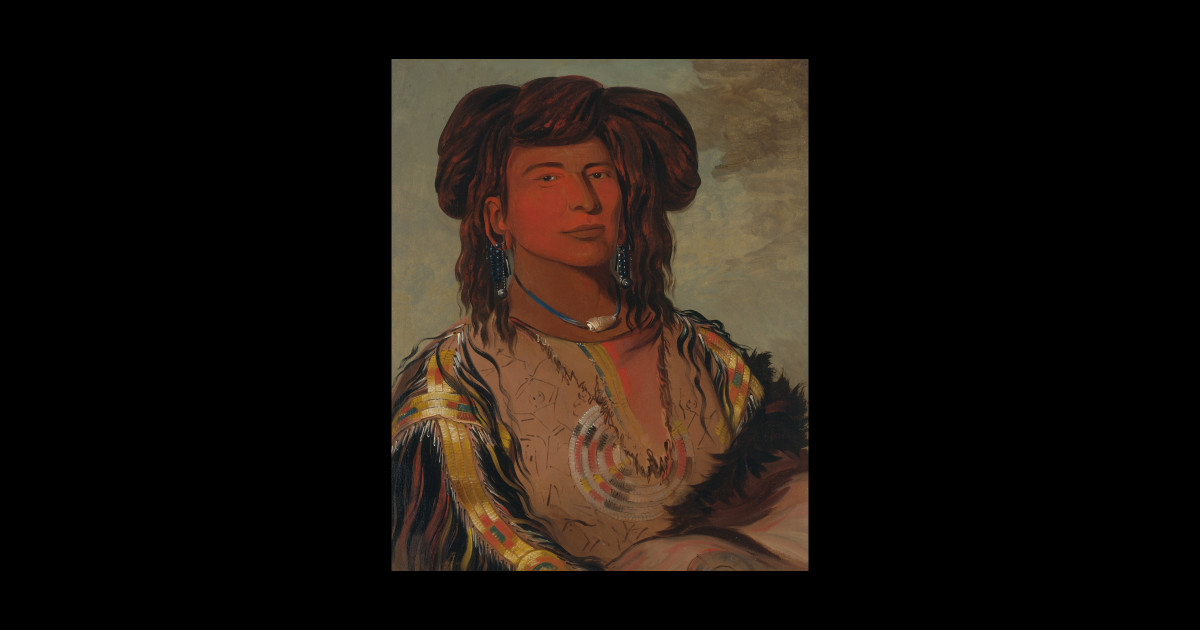 Ha-won-je-tah, One Horn, Head Chief of the Miniconjou Tribe by George ...