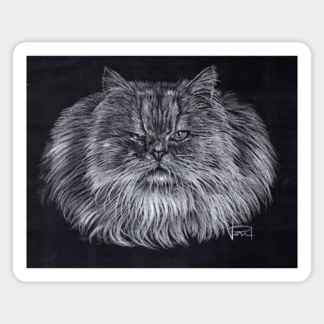Persian Cat - Persian Cat - Sticker | TeePublic