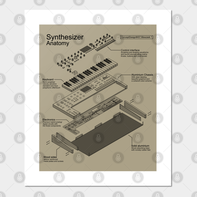 Synthesizer Anatomy design for Synth musician and music producer ...