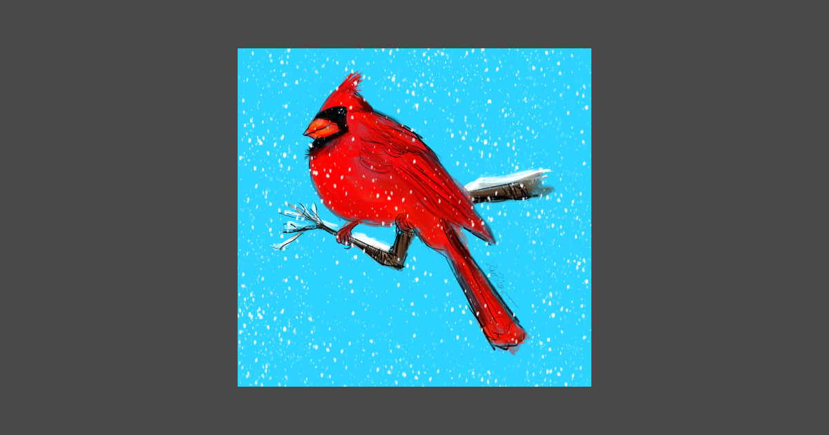 Red Cardinal - Red Cardinal Sticker - T-Shirt | TeePublic