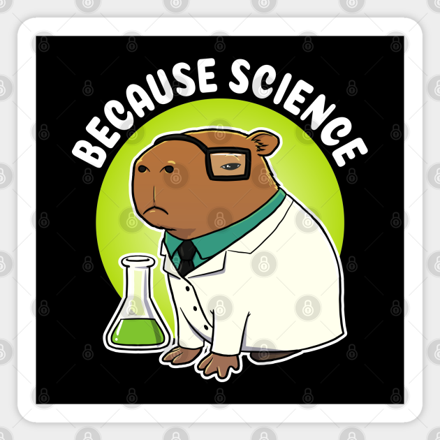 Because Science Capybara Science - Because Science - Sticker | TeePublic