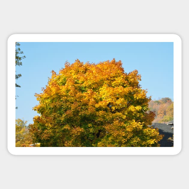 Three color tree - Fall - Sticker | TeePublic