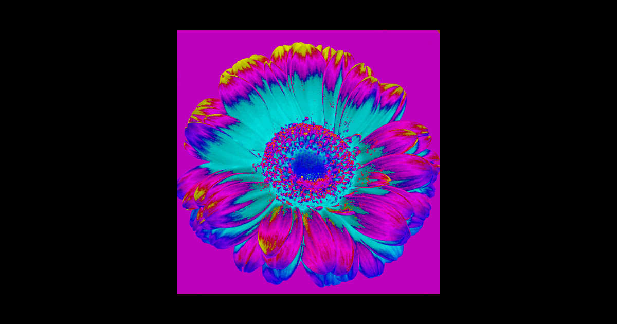 Classic Retro 60's Flower Power - Flowers - Posters and Art Prints ...