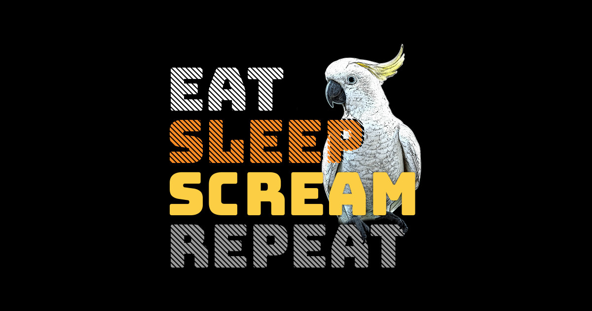 Eat Sleep Scream Repeat Cockatoo - Cockatoo - Sticker | TeePublic