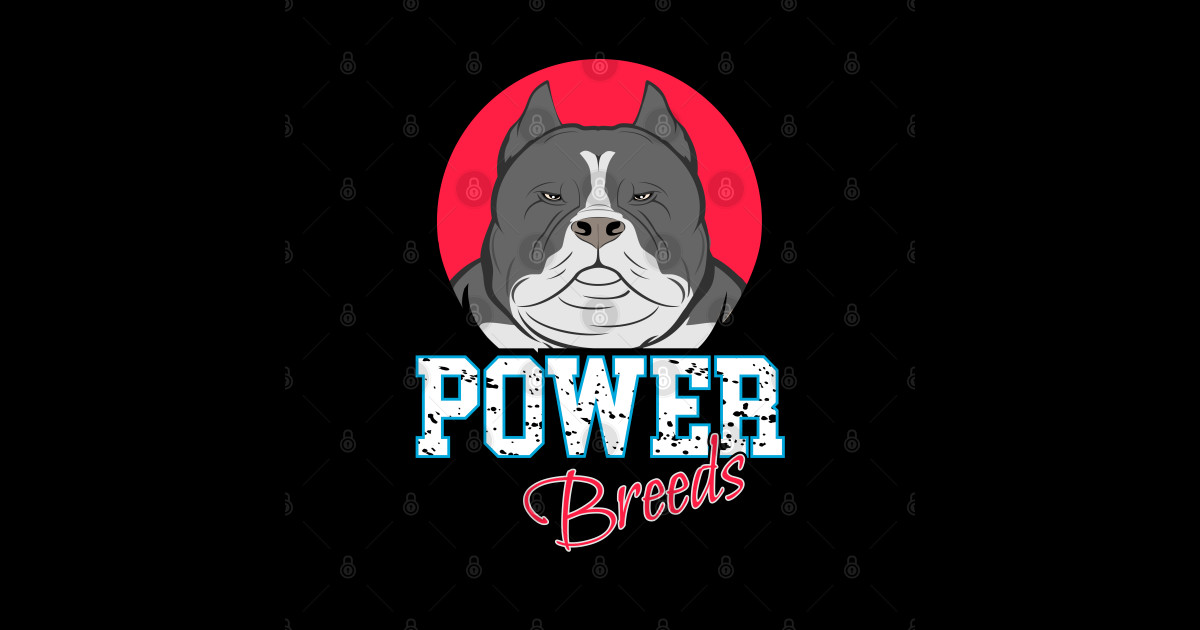 American Bully | Black White Power Breeds - American Bully - Posters ...