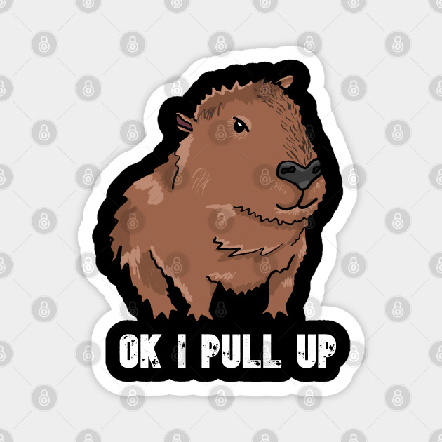 Ok I Pull Up - Capybara Meme - Capybara - Magnet | TeePublic
