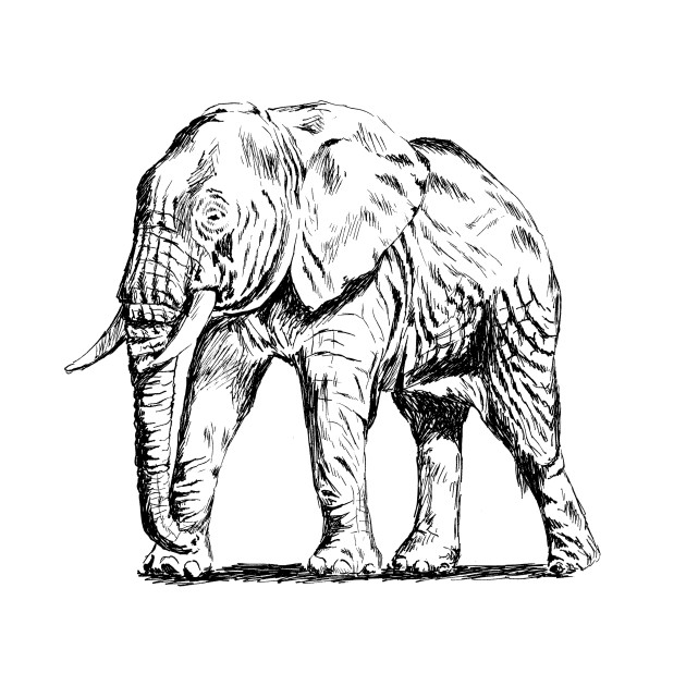 Elephant print - Elephant - T-Shirt | TeePublic